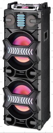 Active party speaker, single active Speaker, party speaker, powerful speaker, professional speaker